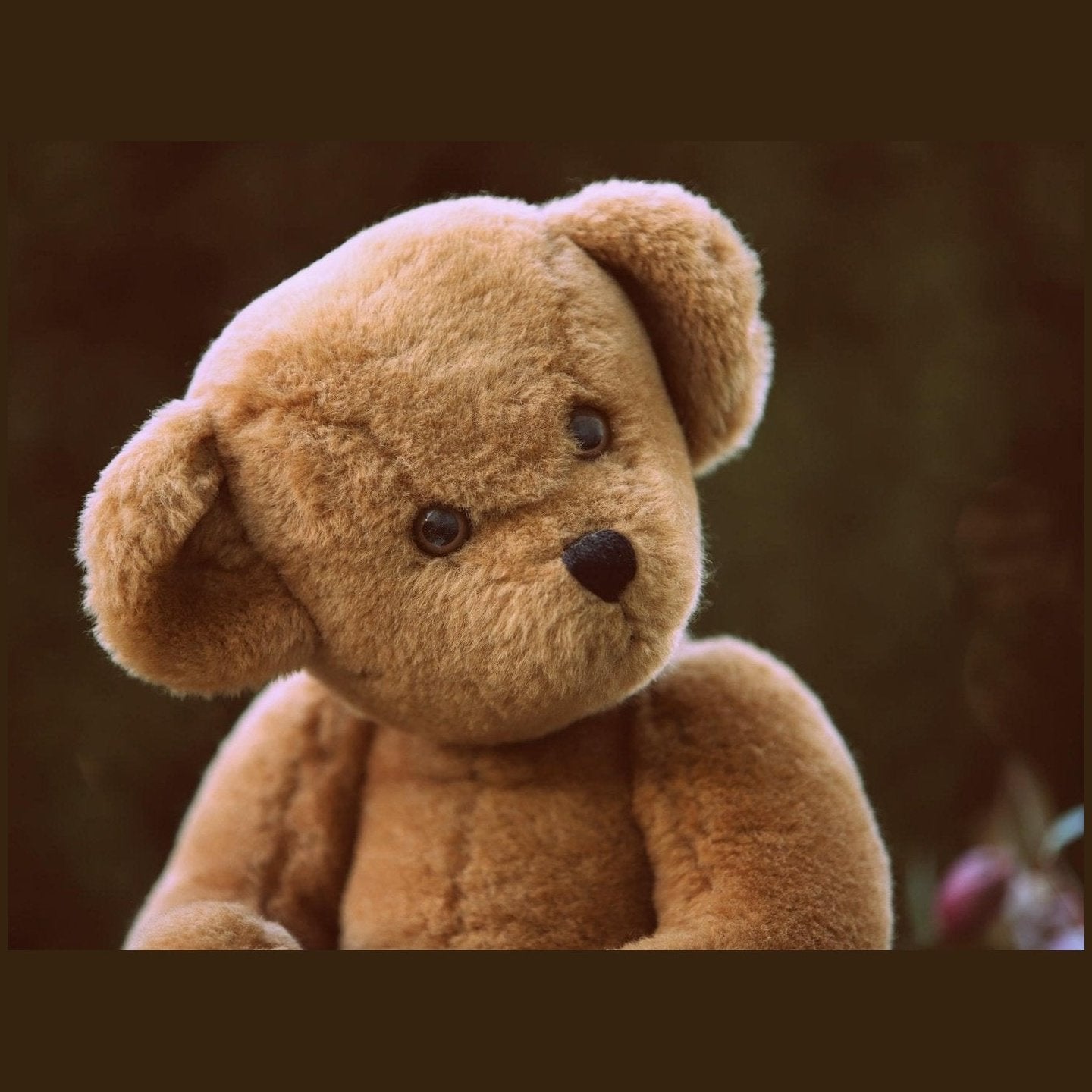 Buy Kids & Childrens Soft Toys Online Australia | Hampton Melbourne ...