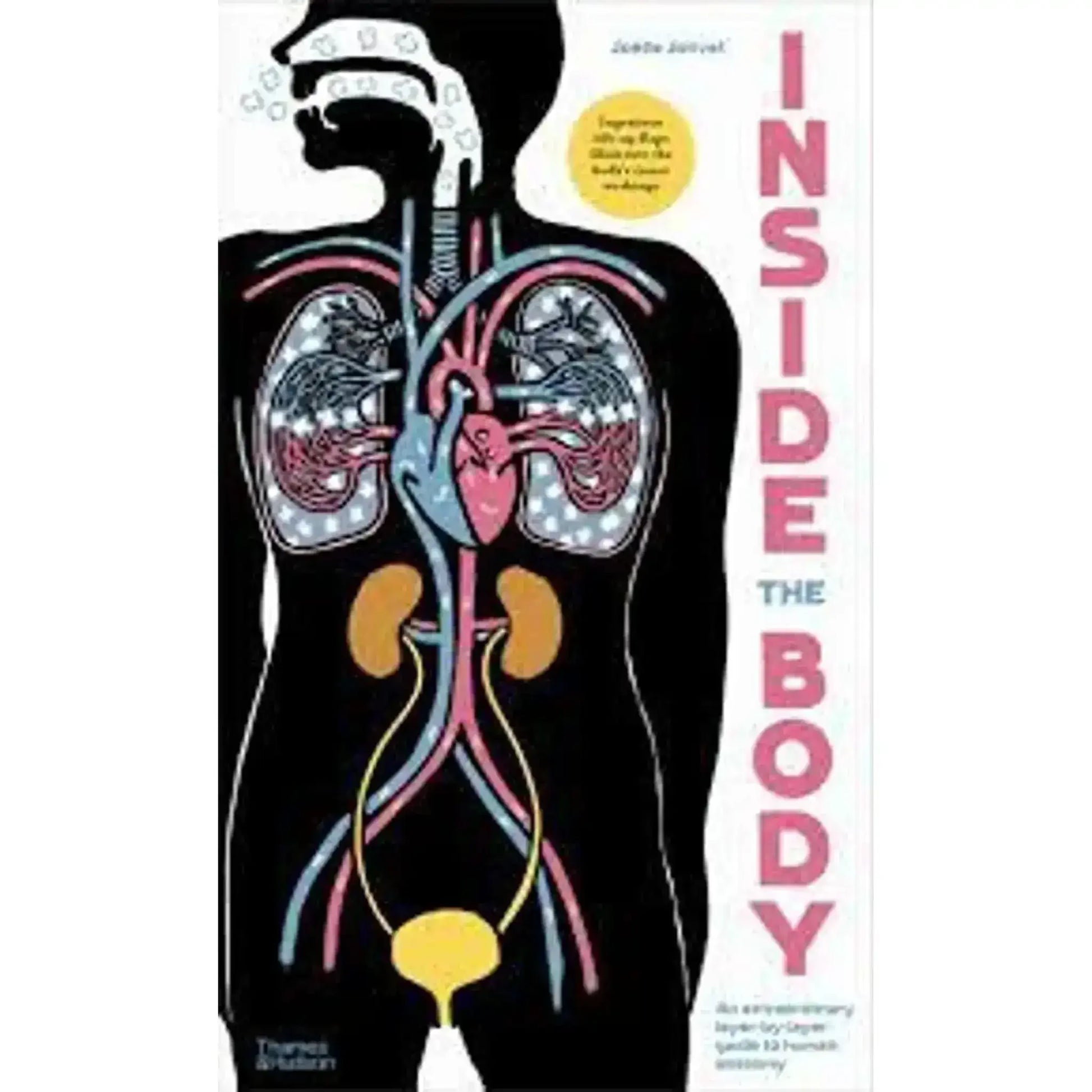 Inside The Body: An Extraordinary layer by layer guide to the human anatomy | Toybox Tales