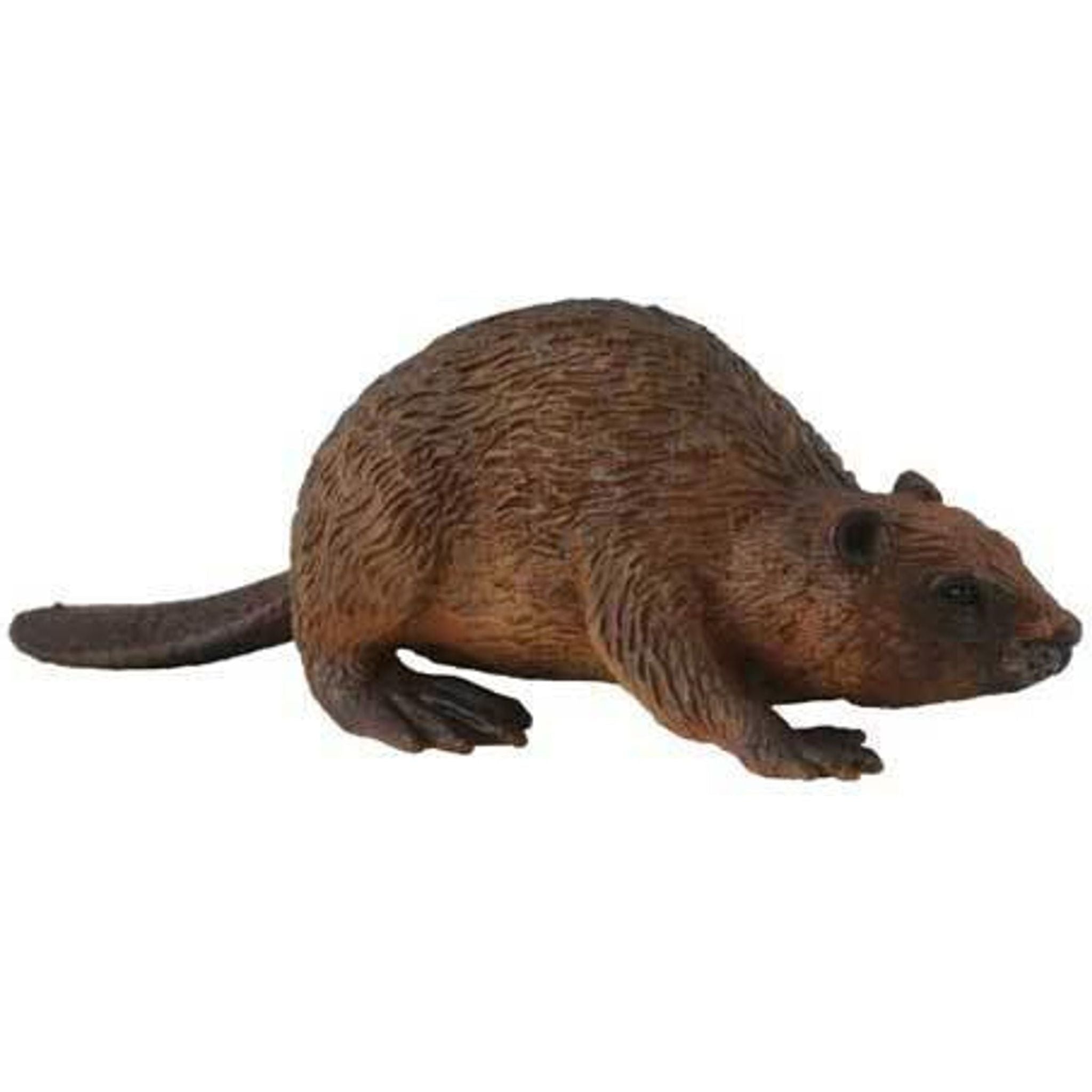 Beaver (M) | Toybox Tales