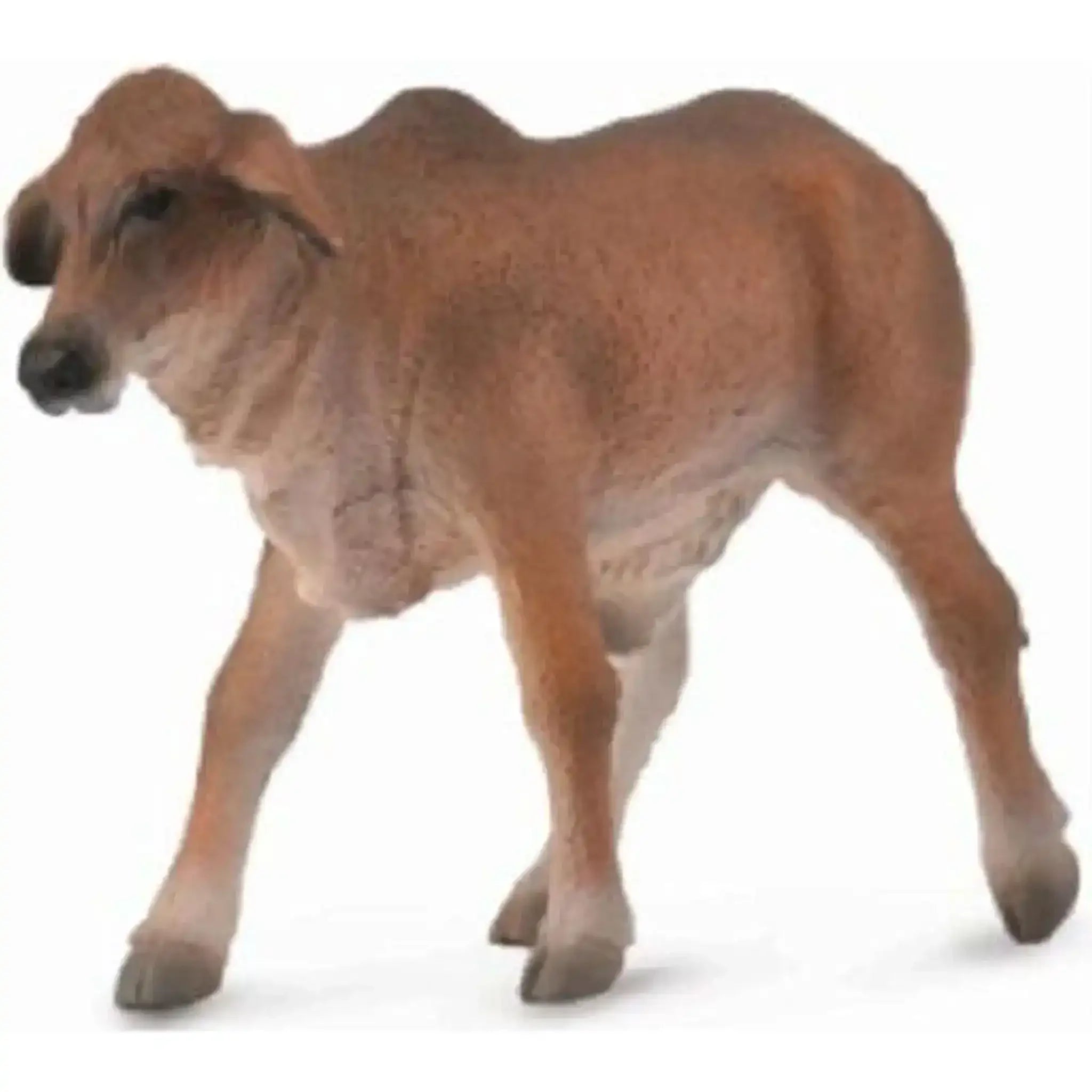 CollectA | Brahman Calf Red (S) | Toybox Tales