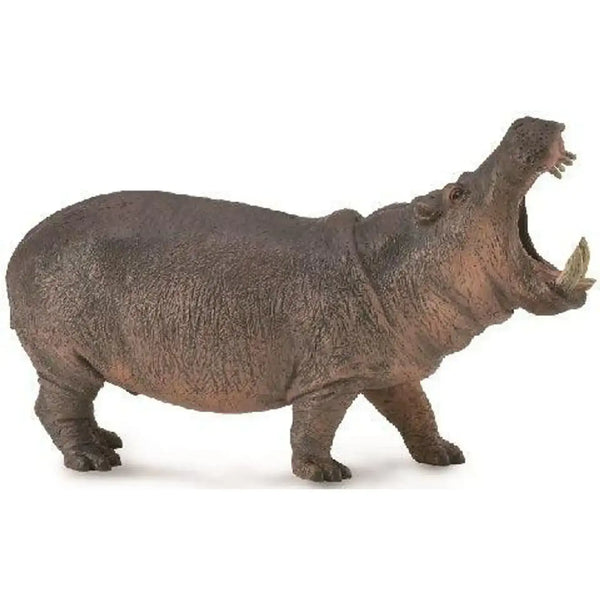 Hippopotamus XL - CollectA Wildlife Models – Toybox Tales