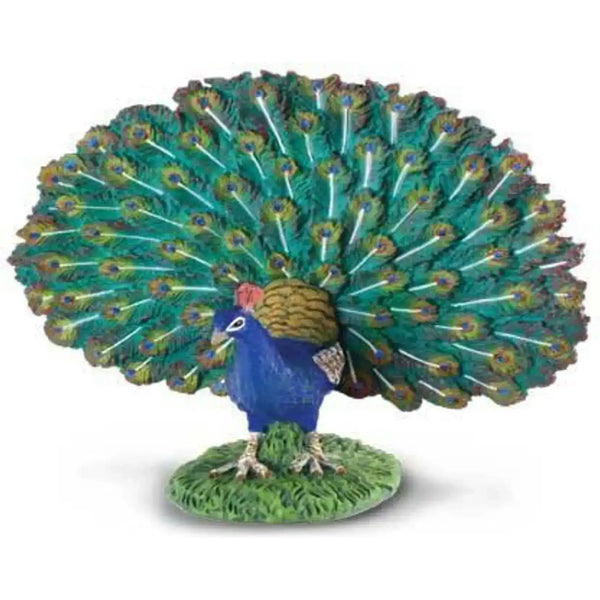 Peacock L - CollectA Bird Models – Toybox Tales