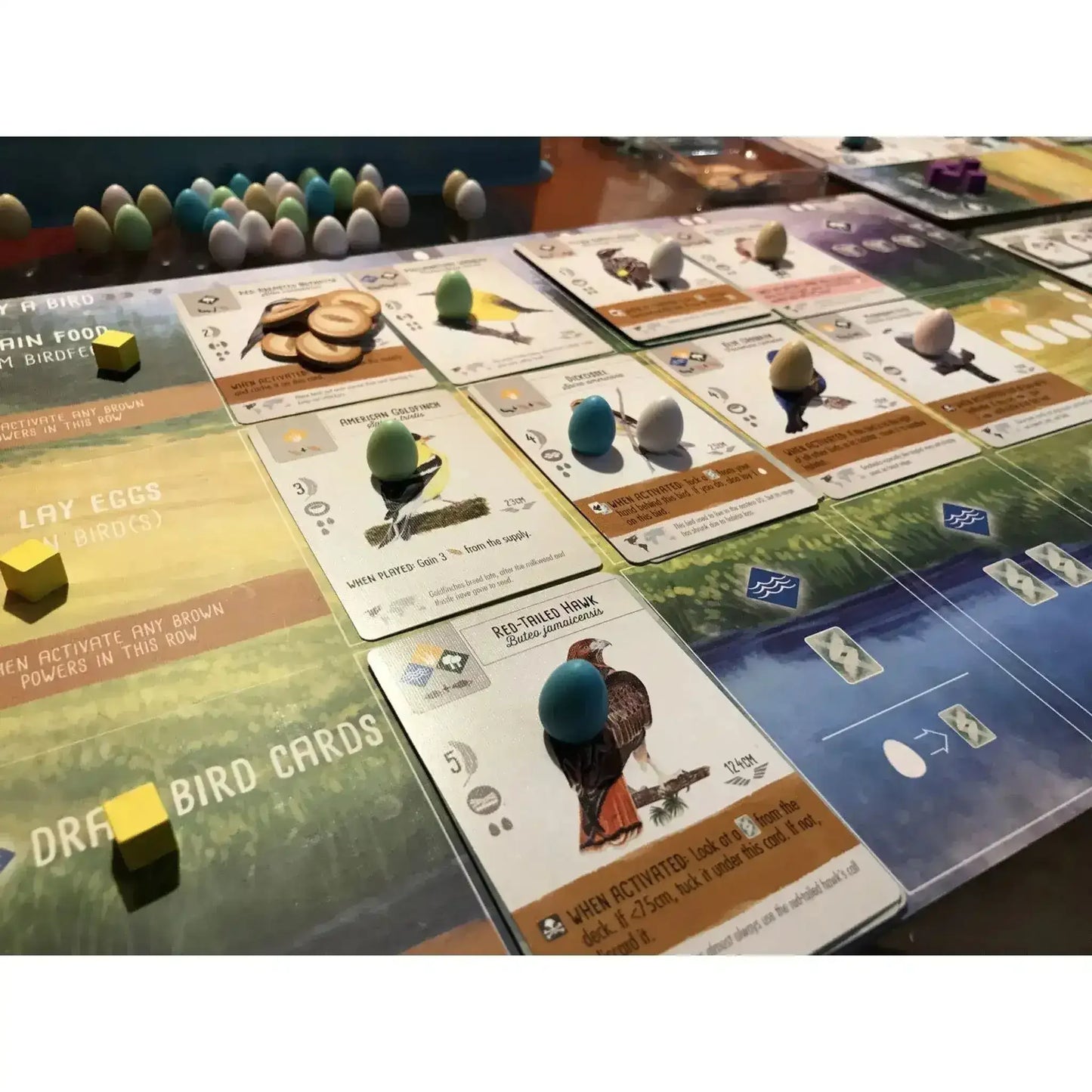 Wingspan | Toybox Tales